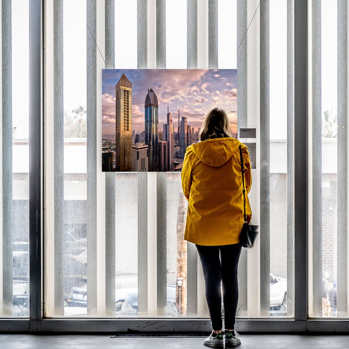 Exhibitions & Awards - Photographer Andrew Prokos