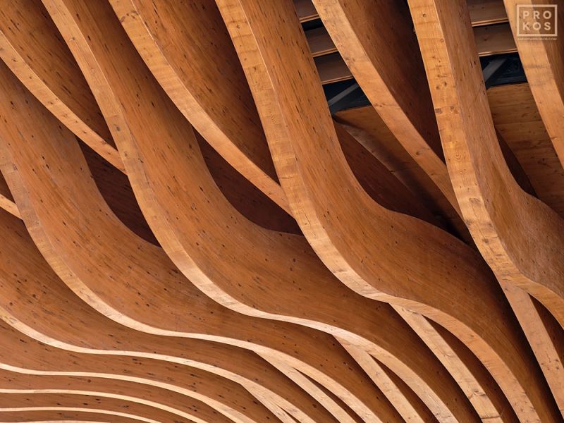 Pavilion Curves I - Architectural Photography by Andrew Prokos