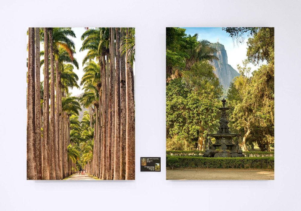 Exhibitions & Awards - Photographer Andrew Prokos