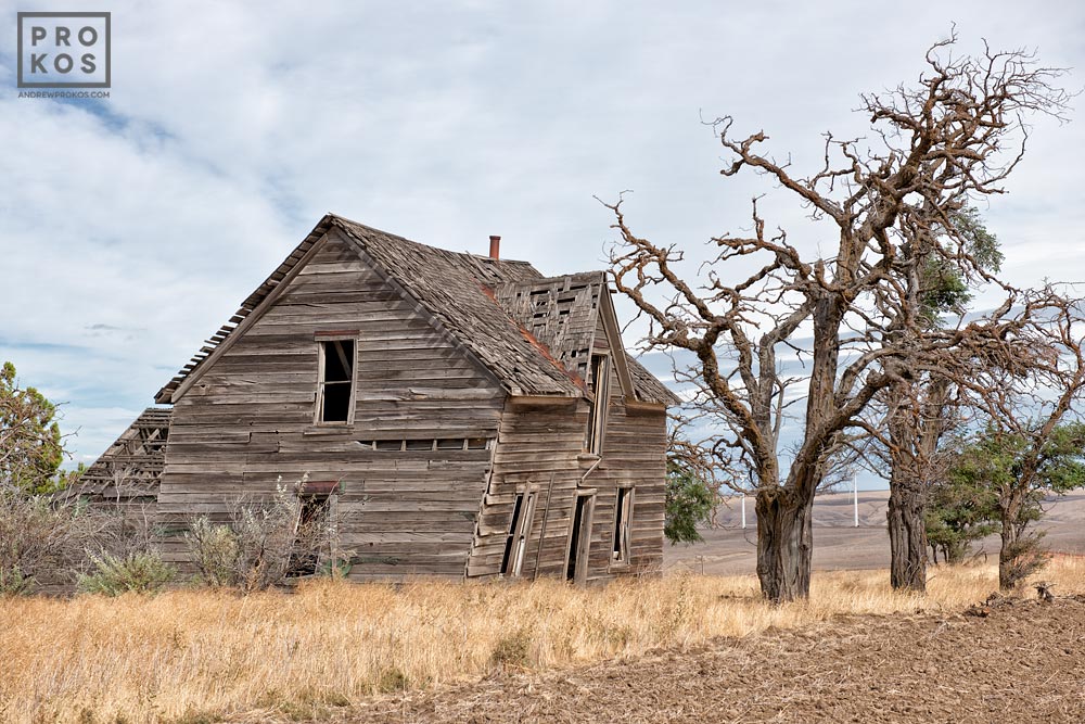 Abandoned Farmhouse, Biglow Canyon I - Landscape by Andrew Prokos