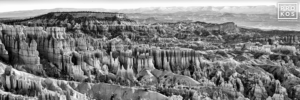 Panoramic Landscape of Bryce Canyon II - B&W Photograph - PROKOS