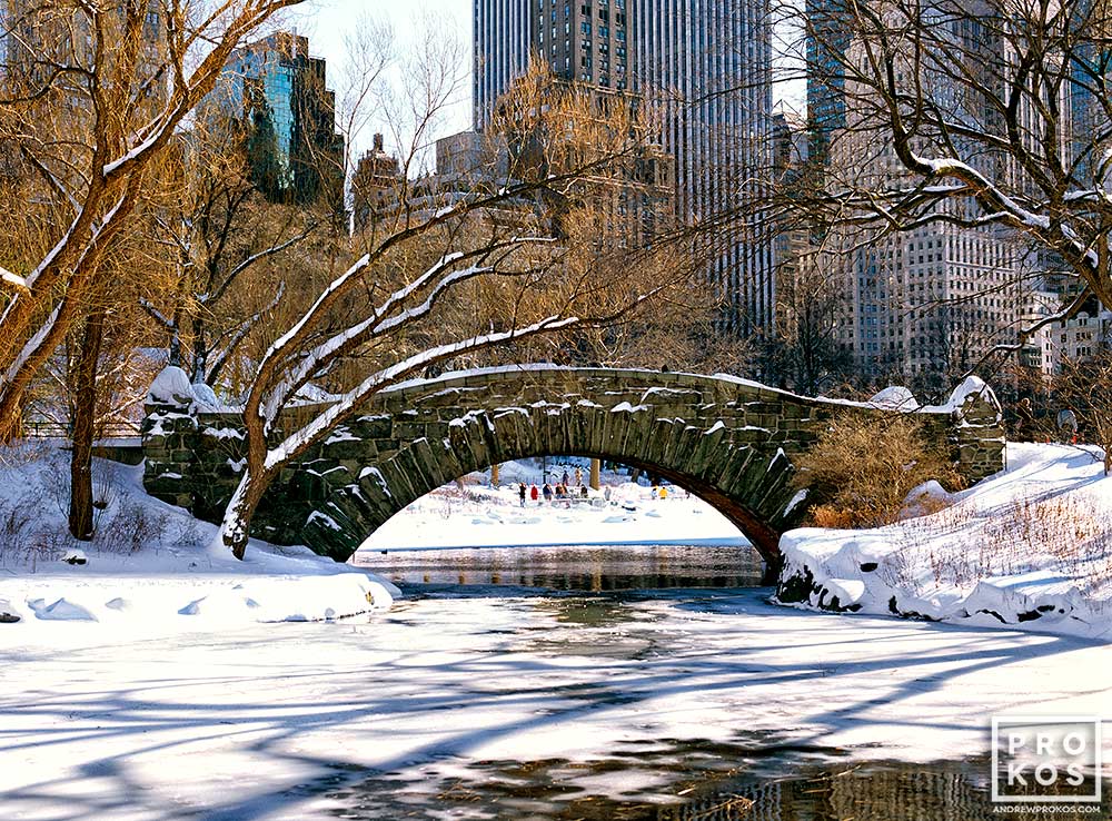 Central Park Photography - Andrew Prokos Fine Art Prints & Photographs ...