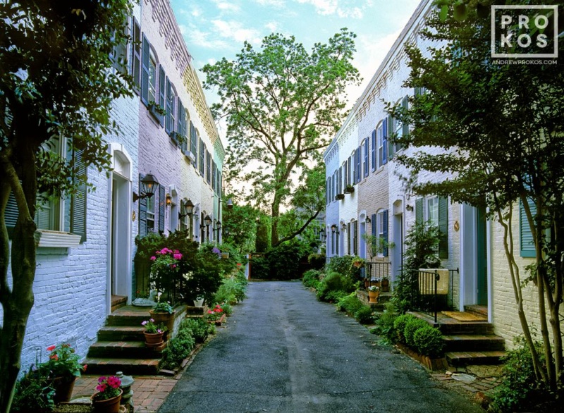 Pomander Walk, Georgetown - Washington DC Photography by Andrew Prokos