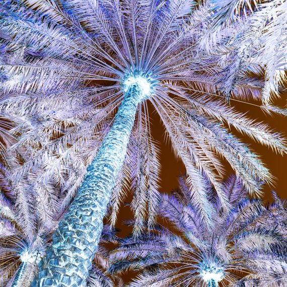 Inverted - Conceptual Fine Art Photography Series by Andrew Prokos