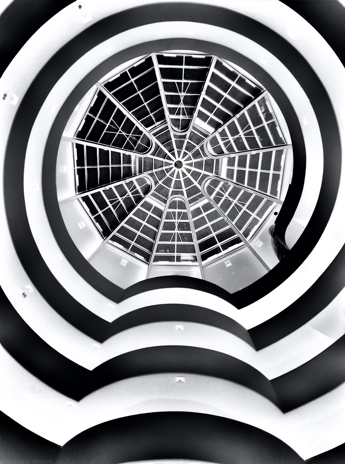 Inverted - Negative-Image B&W Photo Series by Andrew Prokos