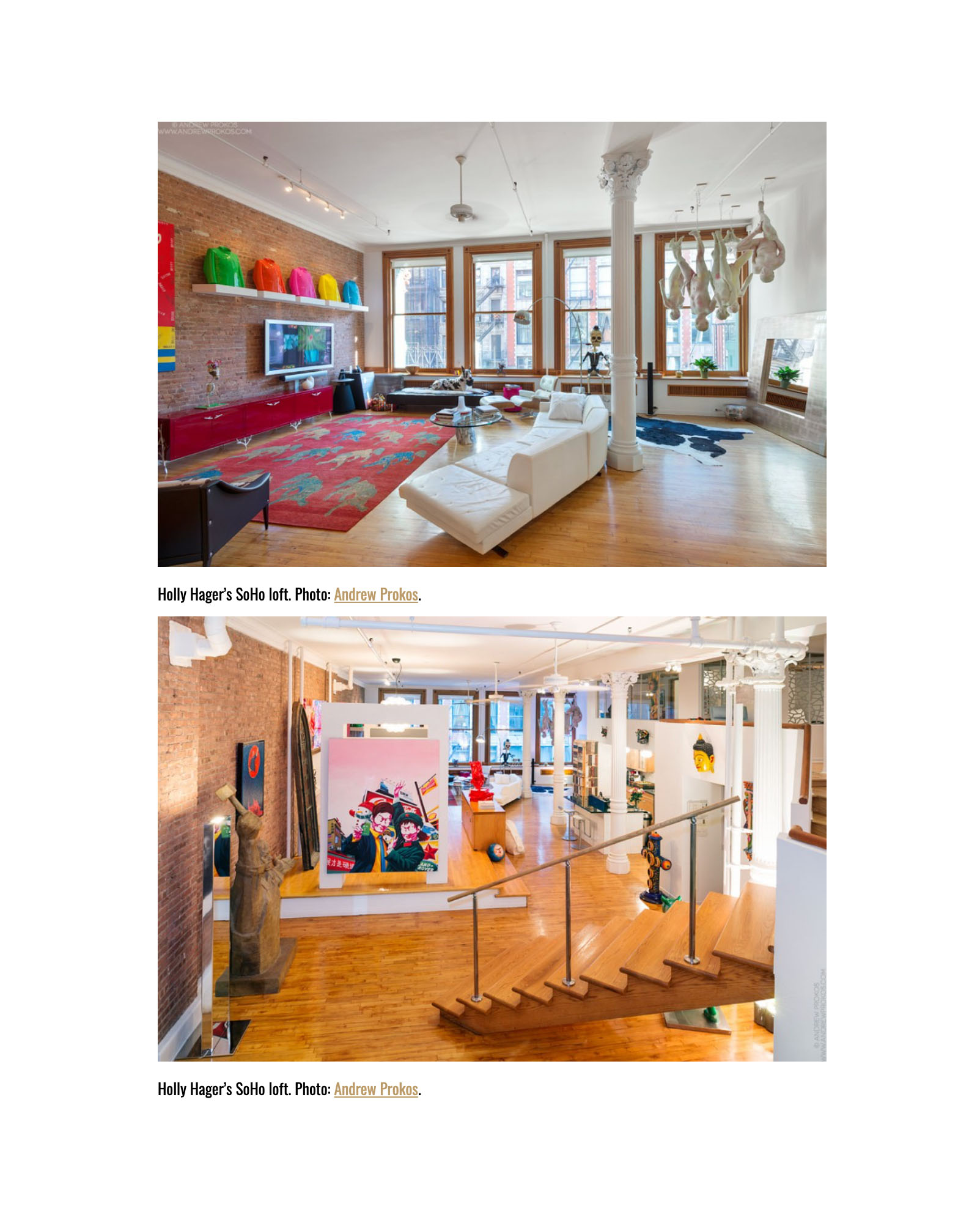 Andrew's Photos Featured in "Top 5 Extravagant Art Collector Homes"
