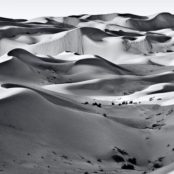 Dunescapes - Landscape Photography Series by Andrew Prokos