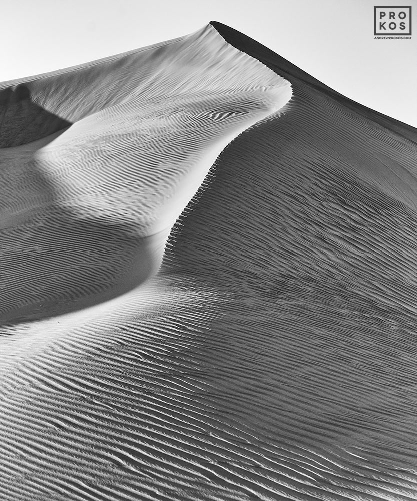Dunescape #13 - B&W Landscape Photograph by Andrew Prokos