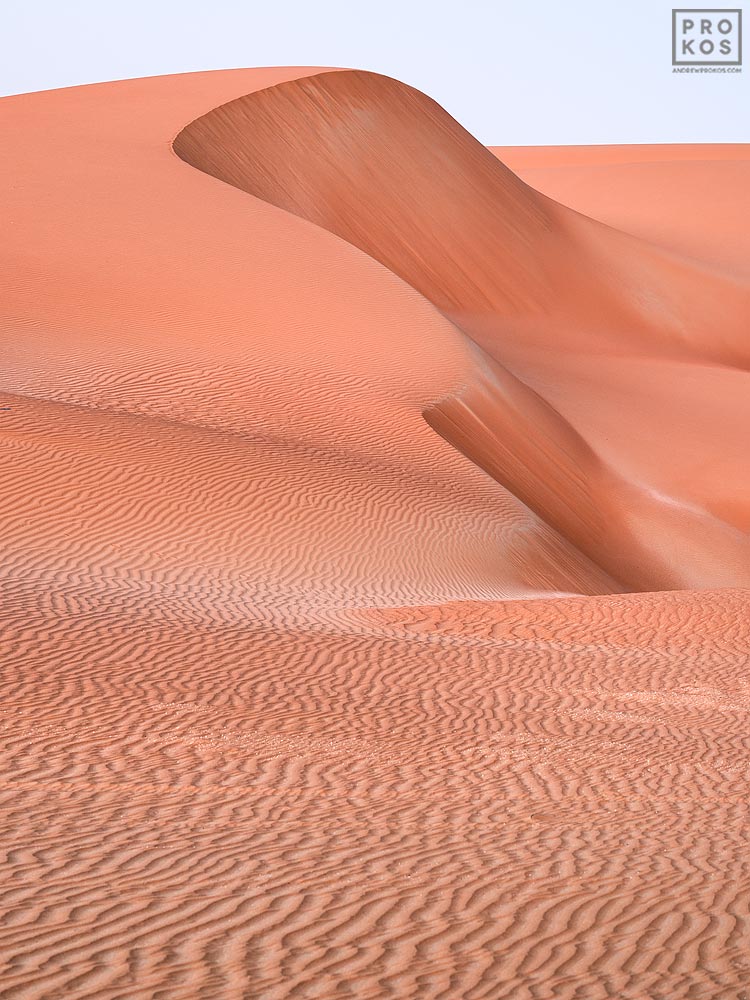Dunescape #7 - Desert Landscape Photo by Andrew Prokos