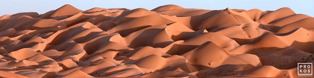 Dunescape #6 - Panoramic Landscape Photo by Andrew Prokos