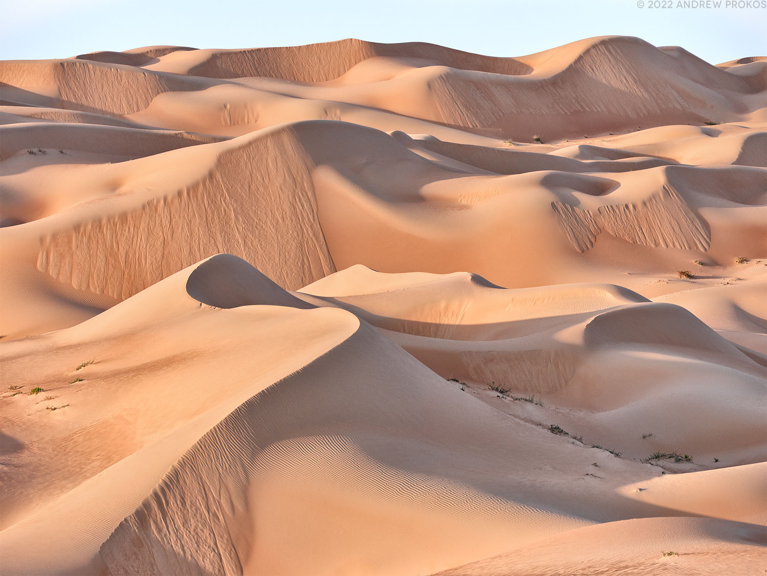 Dunescapes - Landscape Photography Series by Andrew Prokos