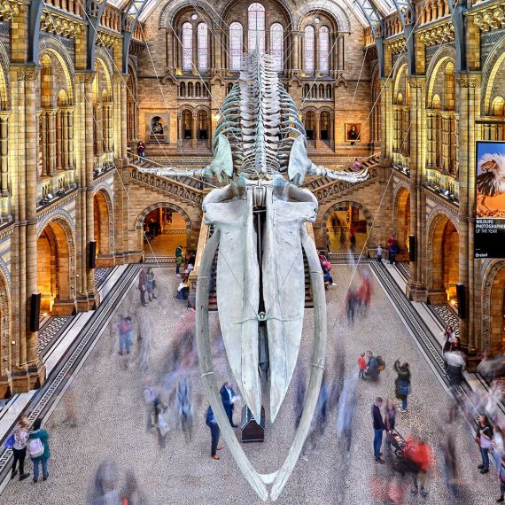 Flux - Long-Exposure Photography Series by Andrew Prokos