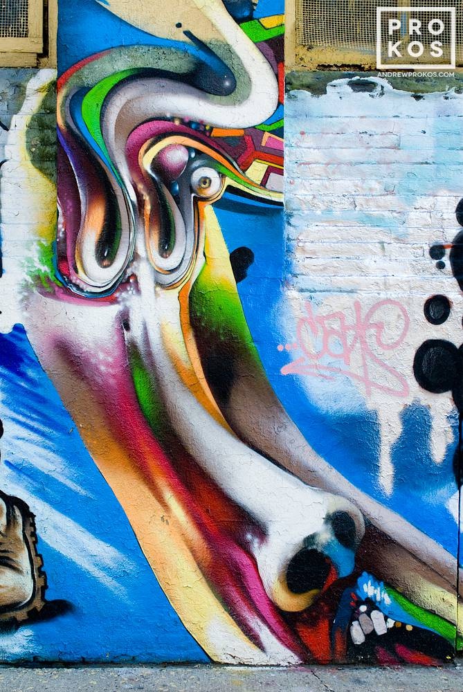 Distorted Face Street Mural, NYC - Street Photography by Andrew Prokos