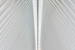 Oculus Interior #2, World Trade Center - Fine Art Architectural Photo ...