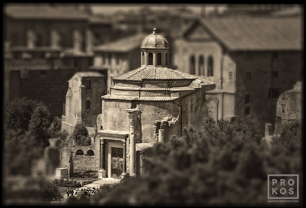 Forum Romanum - Ancient Senate - Monochrome Fine Art Photo by Andrew Prokos