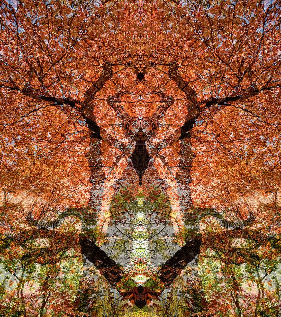 Abstract Photography