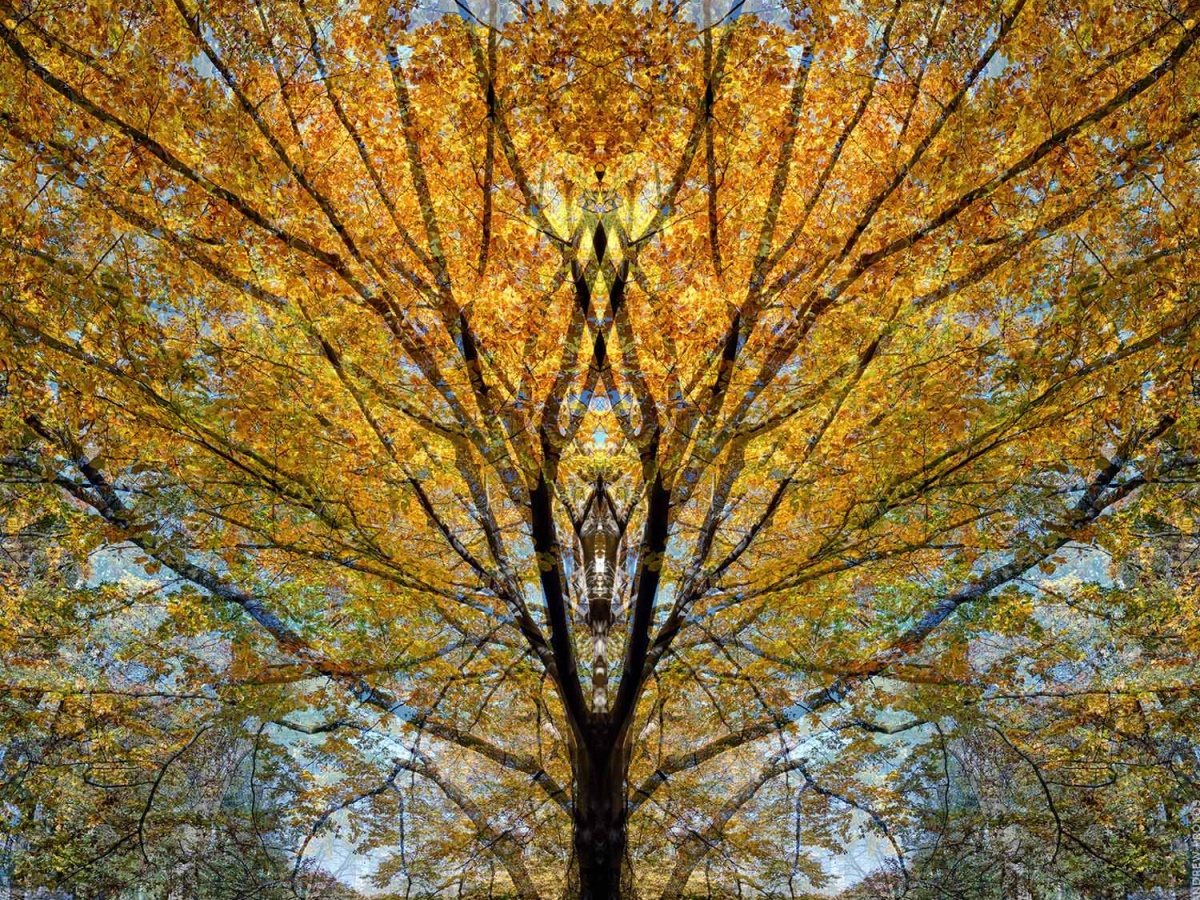 Andrew Prokos Fine Art Photography - Framed Prints + Photographs in NYC