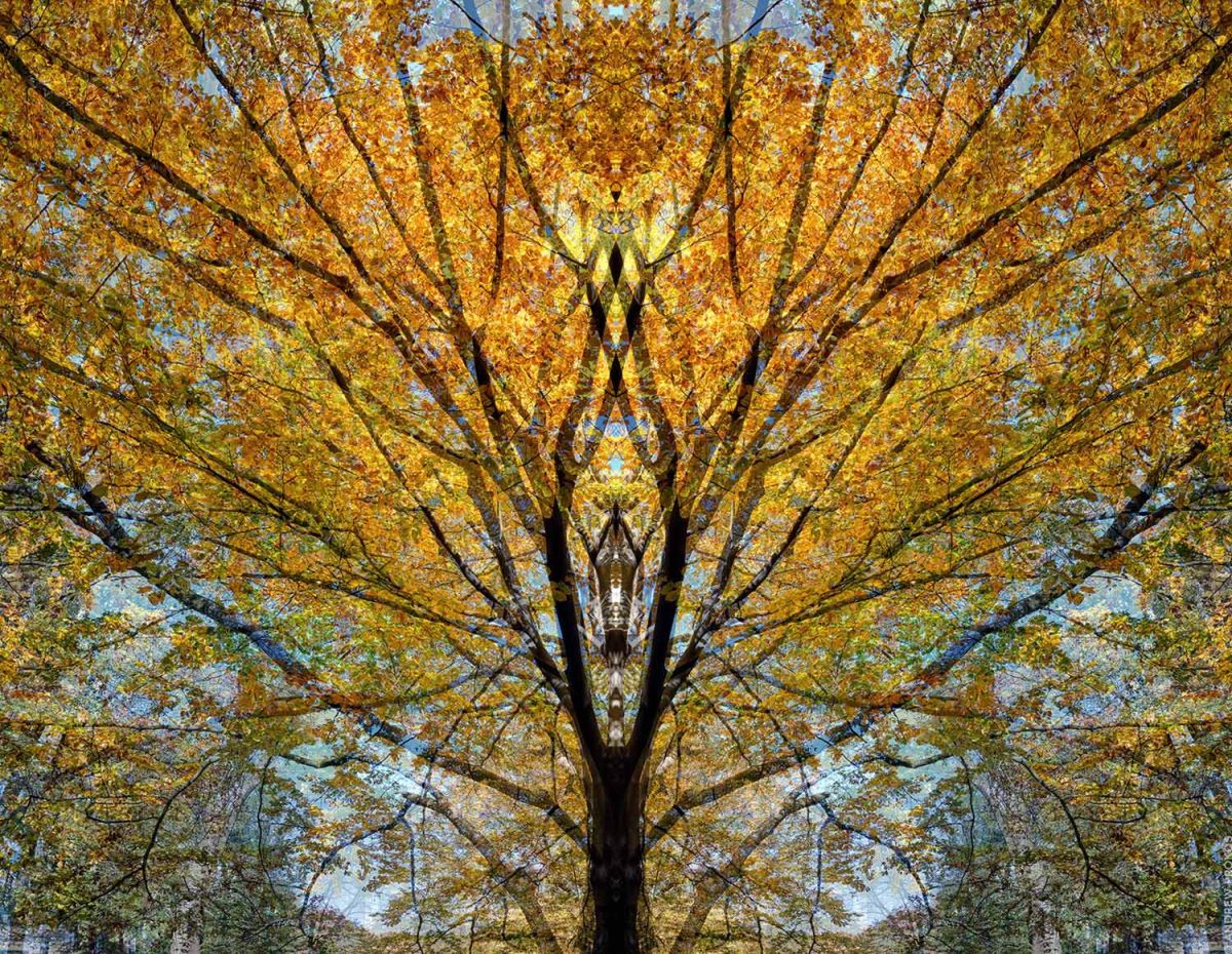 50 Awe-Inspiring Examples of Abstract Photography - PROKOS